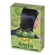 Hesh Amla Herbal Powder, 100 Gm - Walmart.com