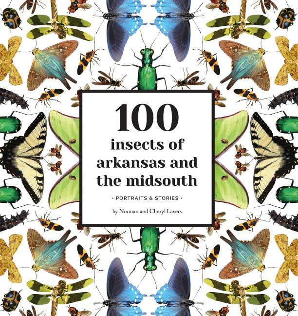 100 Insects of Arkansas and the Midsouth : Portraits & Stories ...