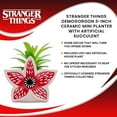 Stranger Things Demogorgon 3-Inch Ceramic Mini Planter with Artificial ...
