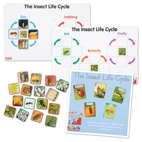 Kaplan Early Learning Insect Life Cycle Game - Investigate Bees, Ants ...