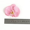 Realistic Phalaenopsis Orchid Head Silk Butterfly Blossom - Walmart.com