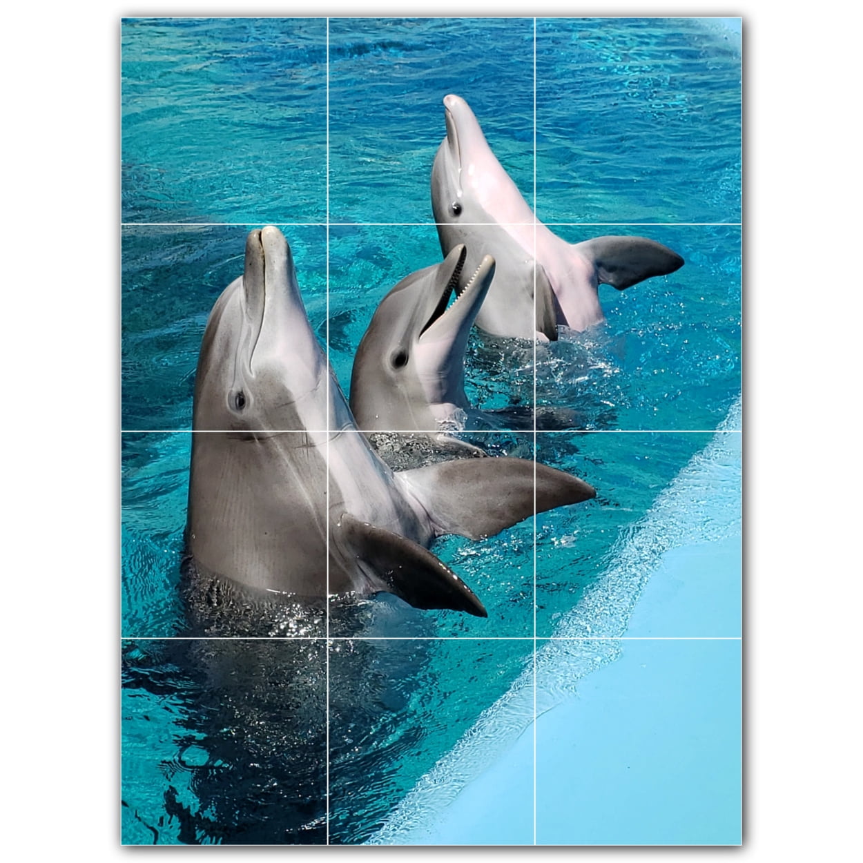 Picture-Tiles.com: Dolphin Ceramic Tile Wall Mural WAL500512-34M. 18"W ...