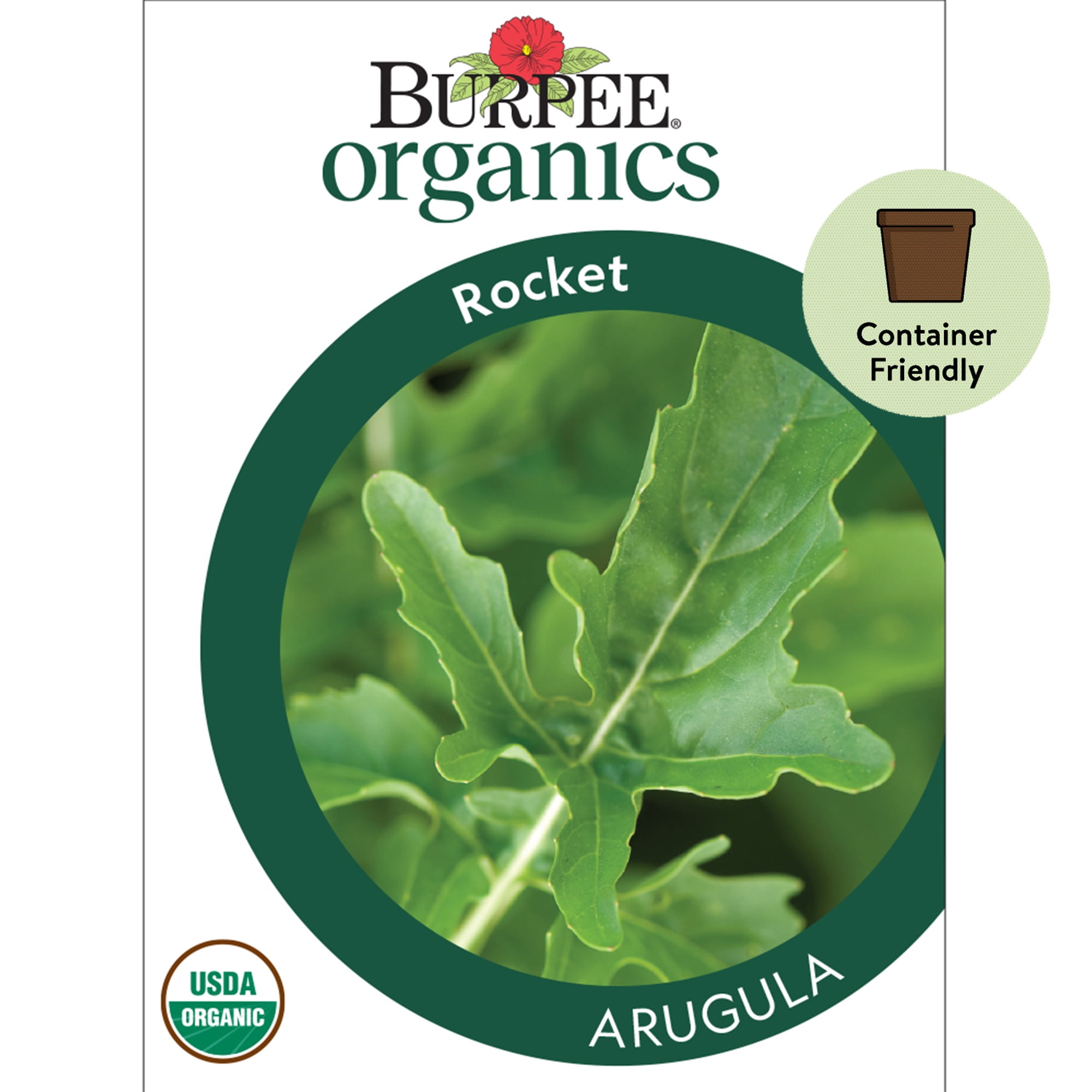 Burpee Organic Rocket Arugula Vegetable Seed, 1-Pack - Walmart.com