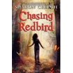 Chasing Redbird, (Paperback) - Walmart.com