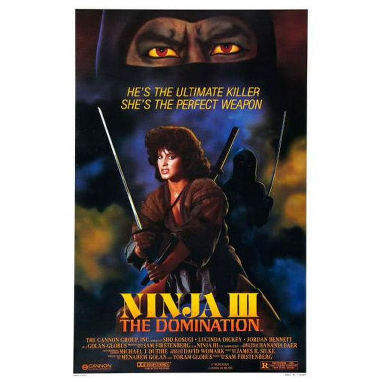 American Ninja 3