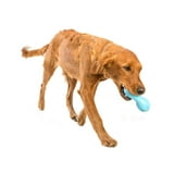 West Paw Zogoflex Qwizl Large 6.5" Dog Toy Aqua - Walmart.com