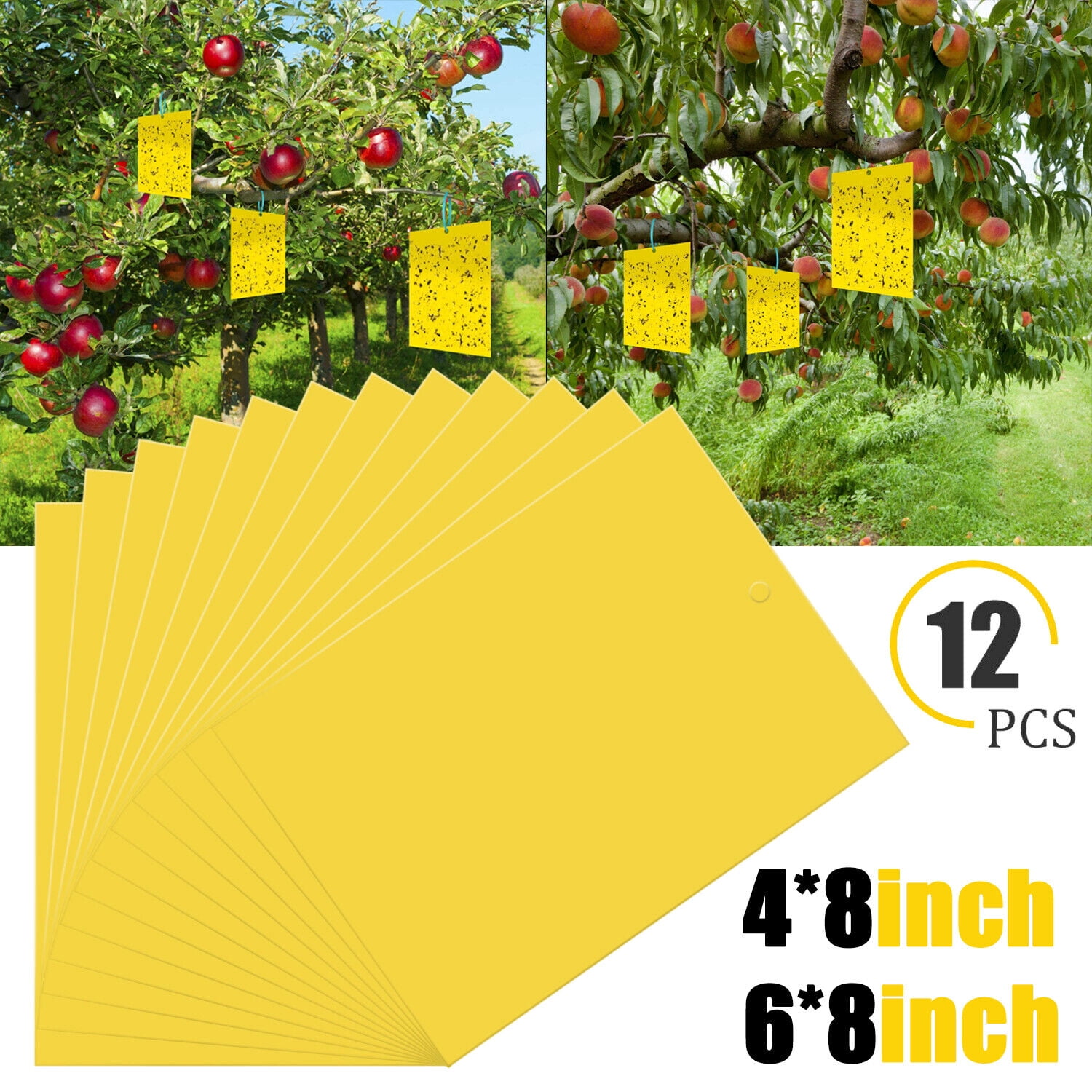 Innens 60 PCS Sticky Fly Traps Gnat Trap Flies Insect Glue Catcher w ...