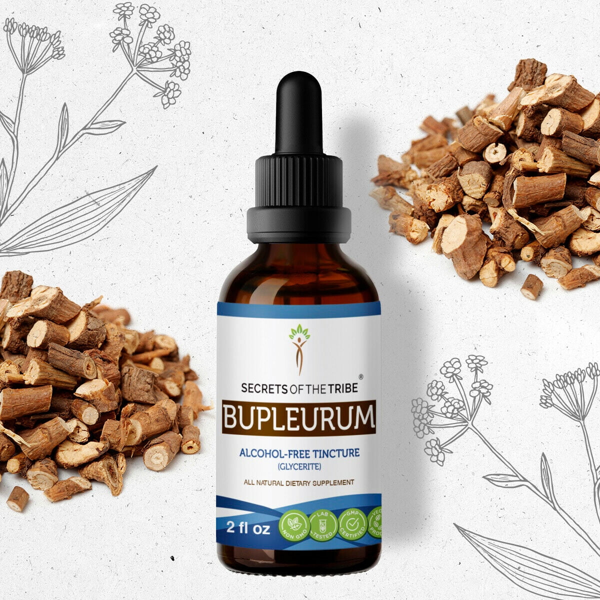 Bupleurum Tincture Alcohol-FREE Extract, Organic Bupleurum (Bupleurum ...