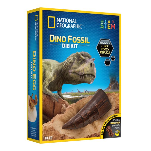 National Geographic Dino Fossil Dig Kit, T Rex Tooth with Genuine Dino ...