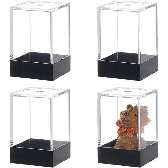 Pioneer Plastics 083C Small Clear Plastic Display Case, 3.5" W x 3.75 ...