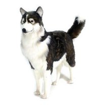 Hansa Life Size Husky Dog Plush Toy - Walmart.com
