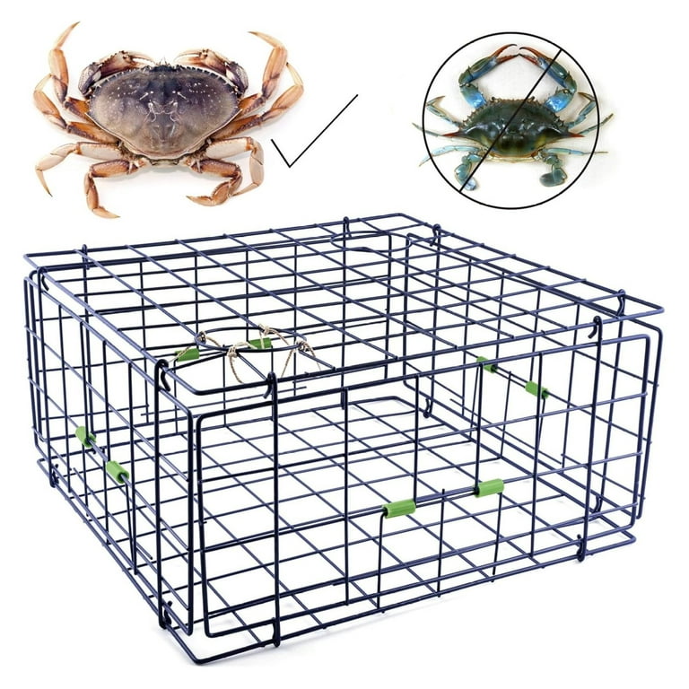 Vinyl Coated Crab Trap Wire Buy Pvc Coated Weld Mesh Lobster Traps