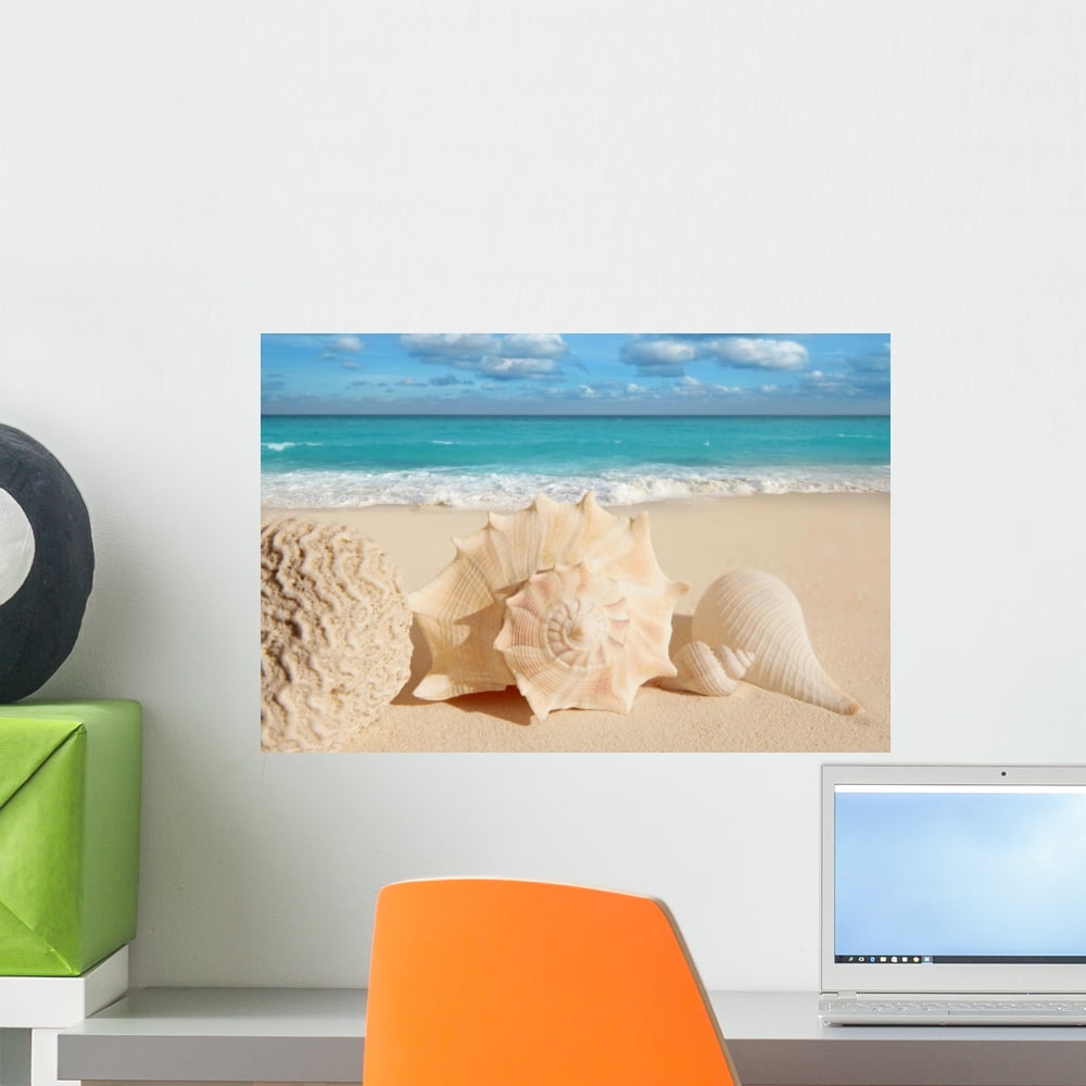 Sea Shells Starfish Tropical Wall Mural by Wallmonkeys Peel and Stick ...
