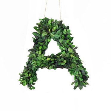 Modern Home 12" Real Preserved Boxwood Monogram Wreath Letters - B ...