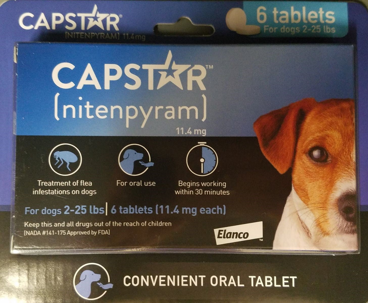 Can I Give My Dog 2 Capstar Pills