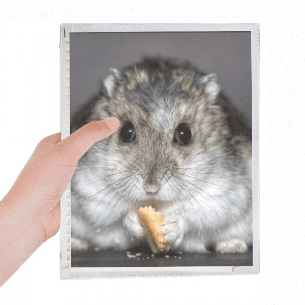 Hamster Animal Rat Pet Cute Eat Notebook Loose Diary Refillable Journal ...