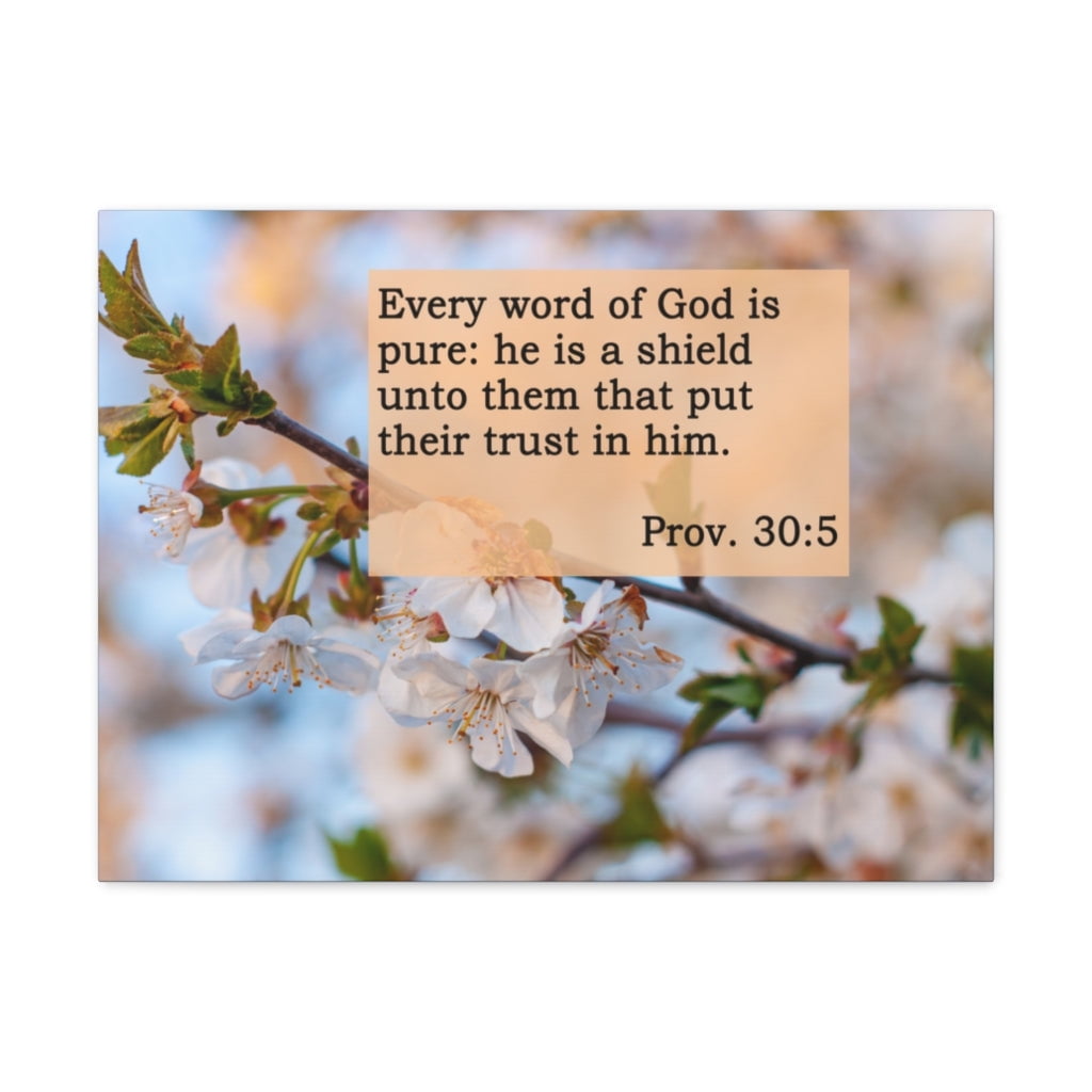 Scripture Walls Every Word Of God Proverbs 30:5 Bible Verse Canvas ...