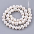 1Strand Natural Cultured Freshwater Pearl Beads Strands Potato Seashell ...