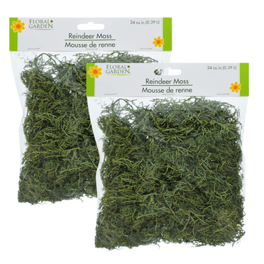 Ashland® Dried Forest Real Plants - Quality Growers Moss Variety Pack ...
