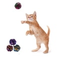 Shiny Metallic Ball Cat Toys Bright and Fun Choose Small or Giant ...