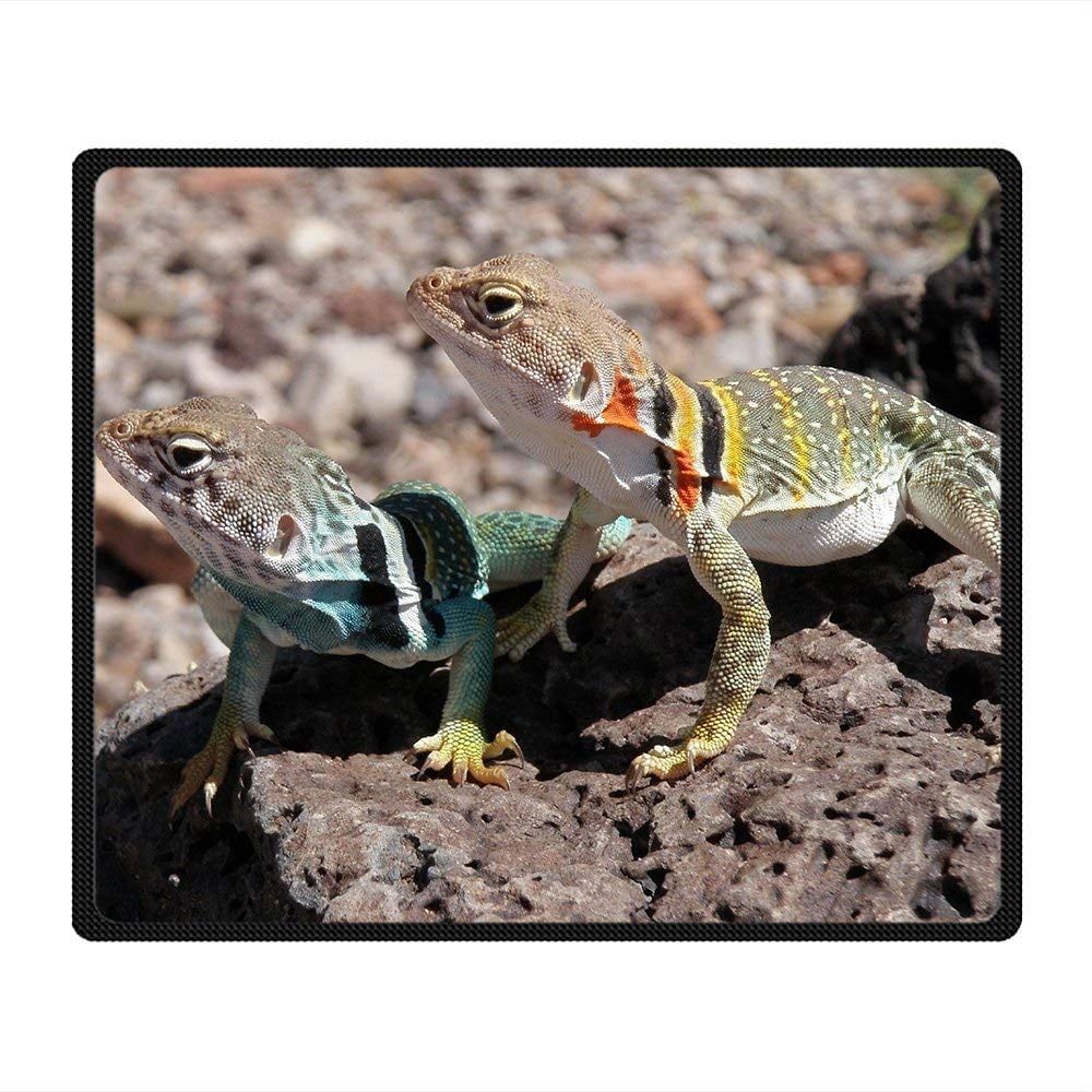 CADecor Lizard Blanket Fleece Throw Blanket for Sofa or Bed 58x80 ...