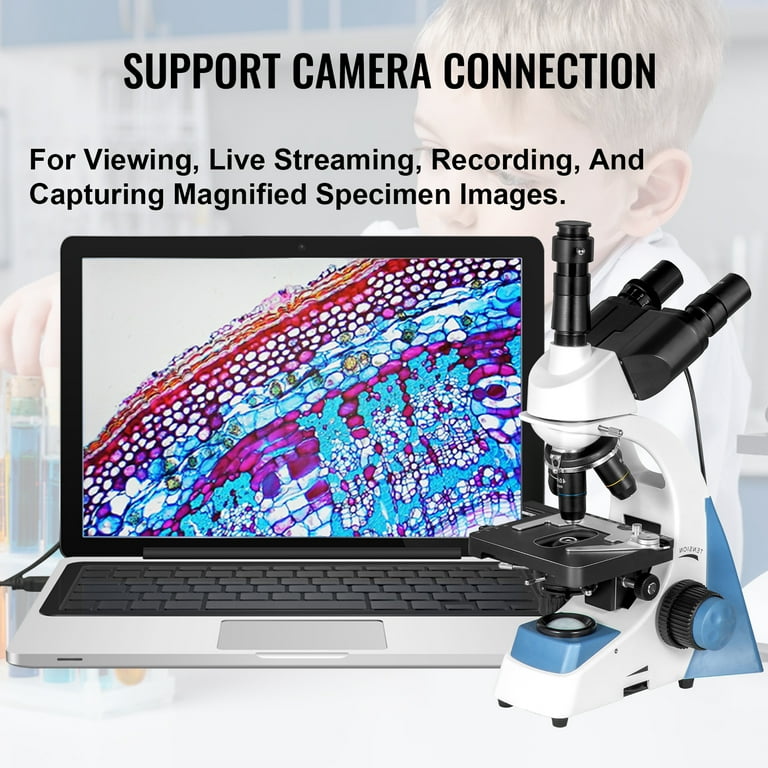 Compound Microscope Specimen Images