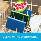 Scotch-Brite Non Scratch Scrub Sponge, 21 Count, Gentle Cleaning for ...