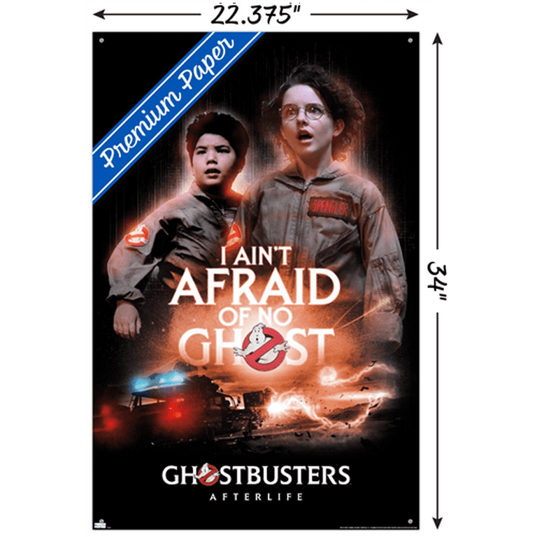 Ghostbusters 3 Poster