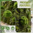 XIBUFE Moss Balls,Flattened Half-Sphere Design Moss Balls,Evergreen All ...