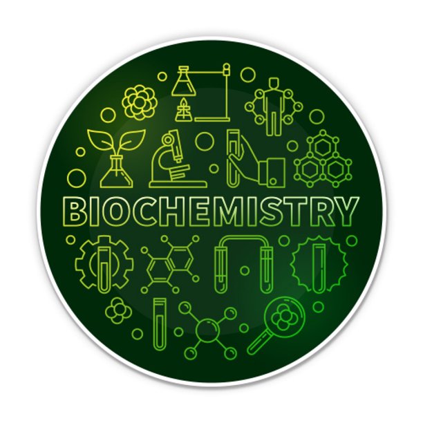 Biochemistry - 12" Vinyl Sticker Waterproof Decal - Walmart.com