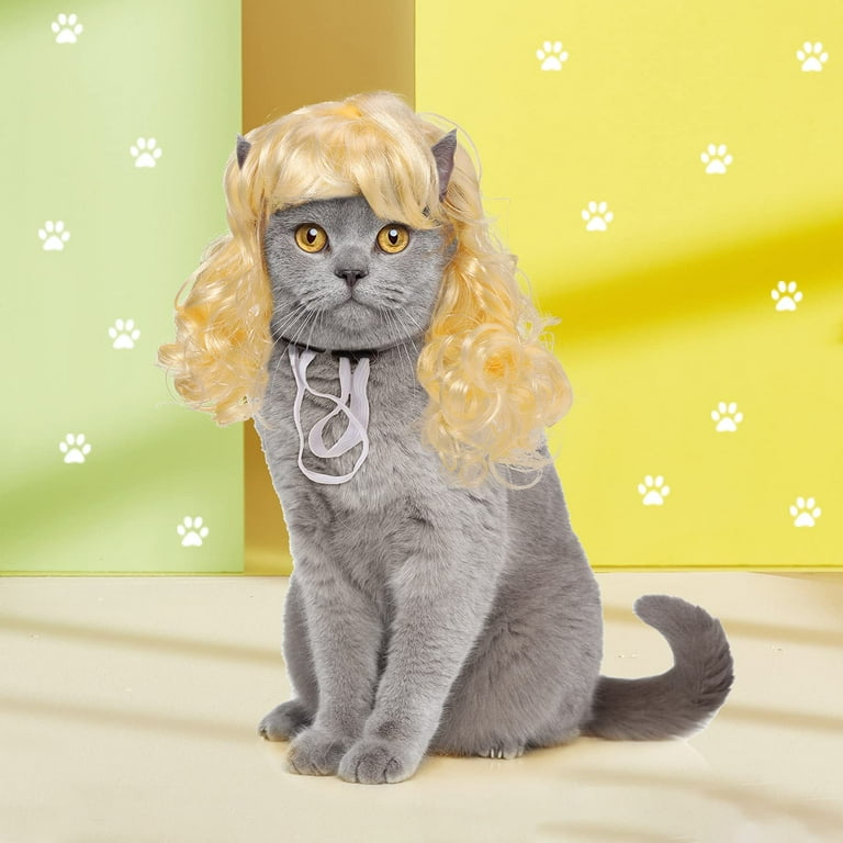 Cats Wearing Wigs