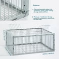 Humane Live Pigeon Trap, Safe Bird Catcher Cage with One-Way Entry ...