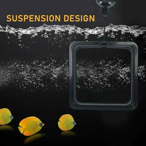 TB&W Fish Feeding Aquarium Ring Feeder Float Food Plant Buoyancy Circle ...