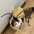 Feledorashia Funny Cat Cockroach Costume, DIY Kit with Antennae, Pet ...