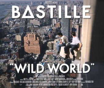 Wild World (CD) - Walmart.com