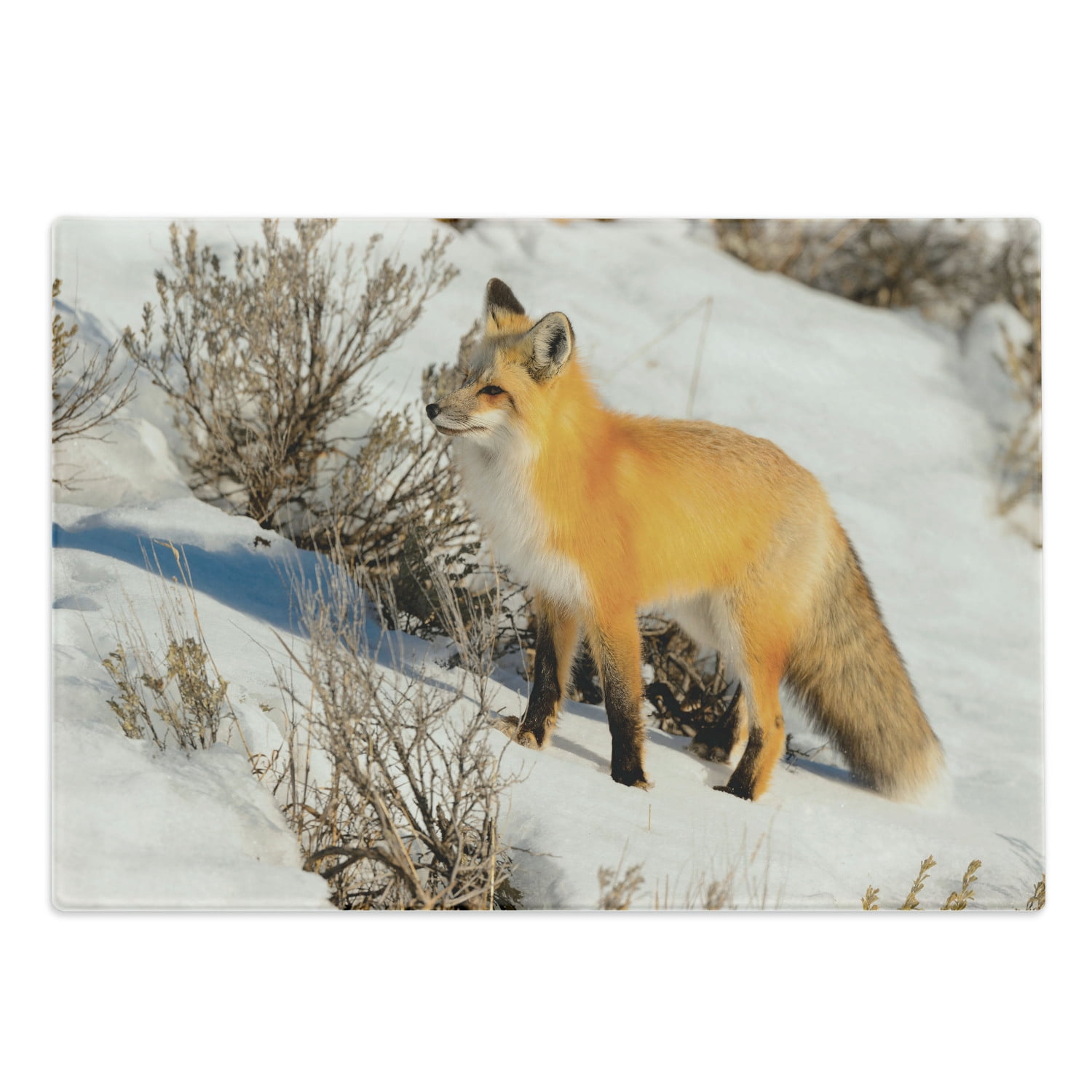 Fox Cutting Board, Red Fox in Nature Snowy Mountain Cold Winter Scenery ...