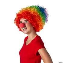 Fun World - Big Clown Wig - Standard - Walmart.com