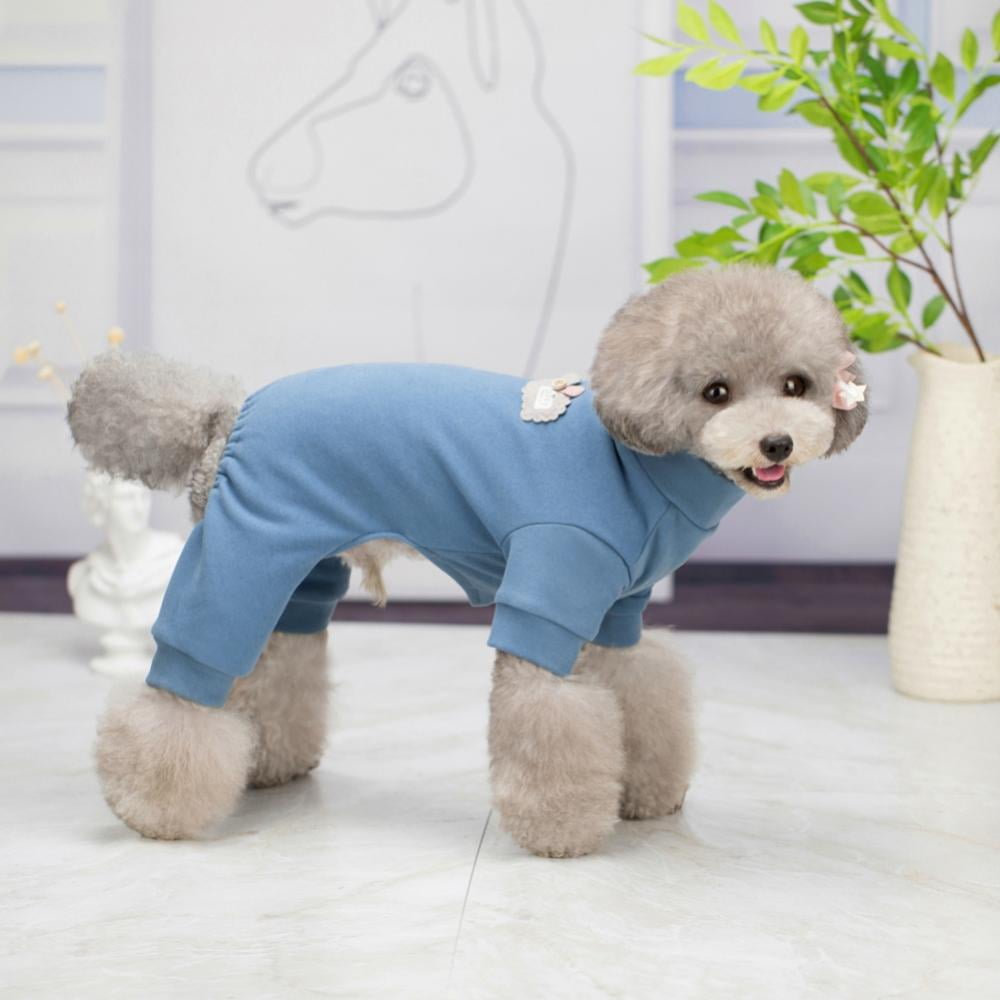 What To Do With A Soft Puppy