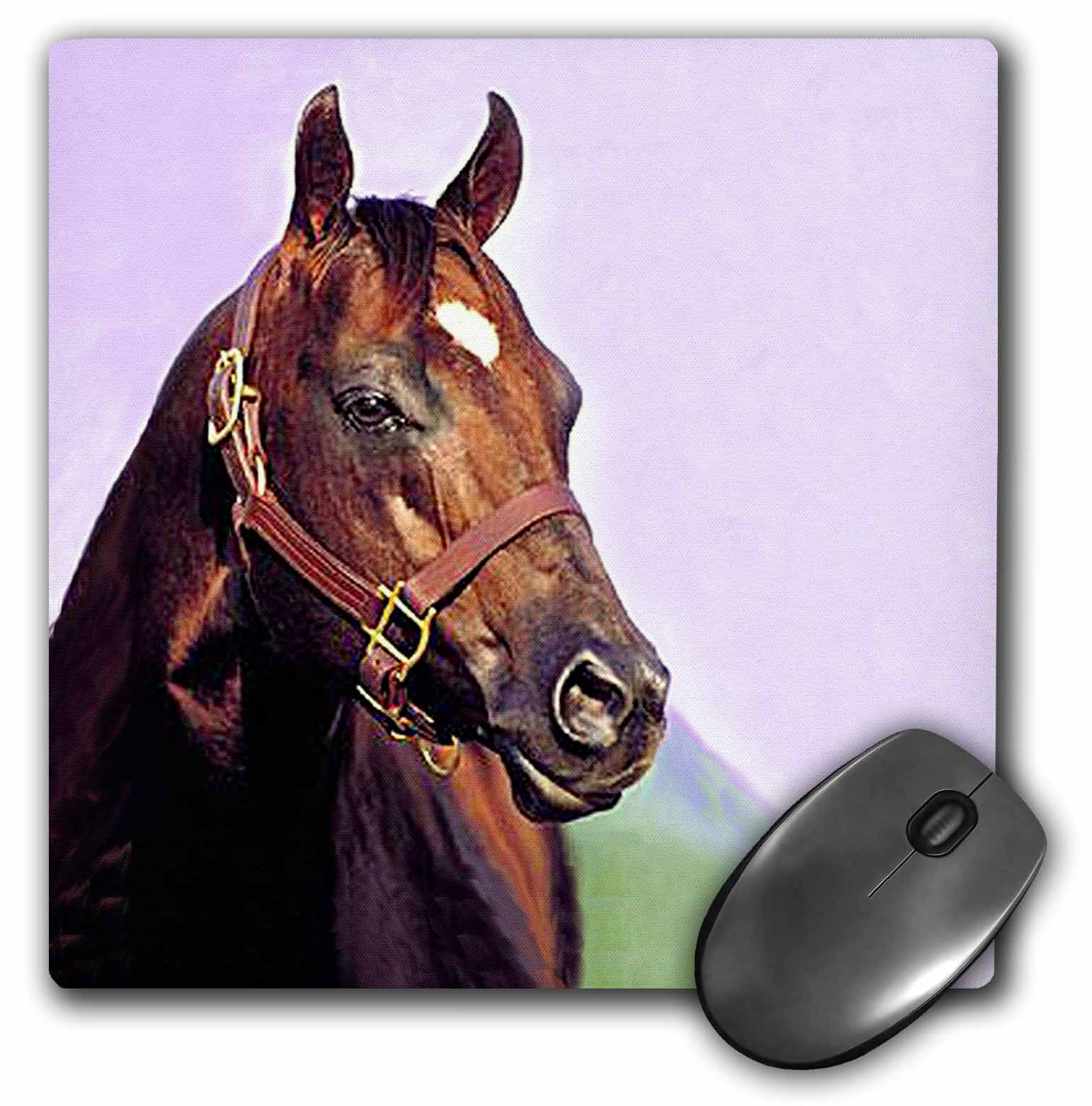 3dRose Quarter Horse, Mouse Pad, 8 by 8 inches - Walmart.com