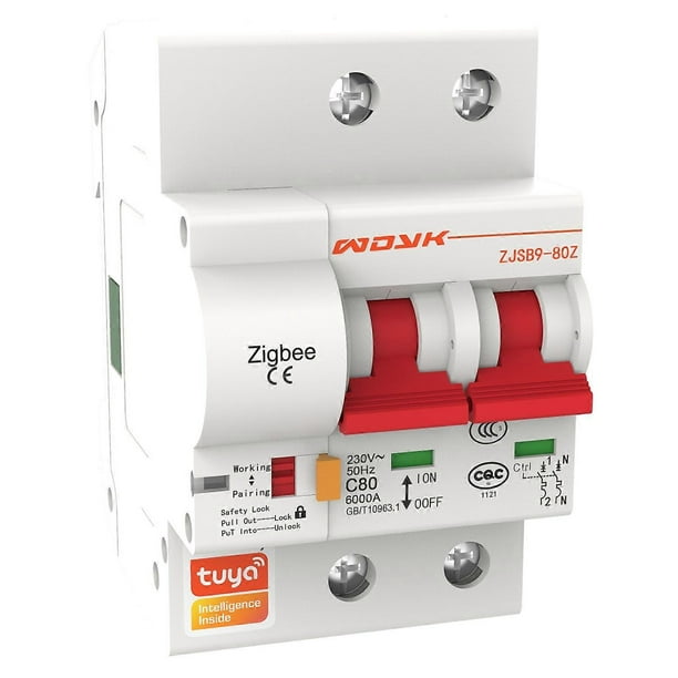 WDYK 10A - 80A 2P Tuya Zigbee Smart Circuit Breaker Remote Control ...
