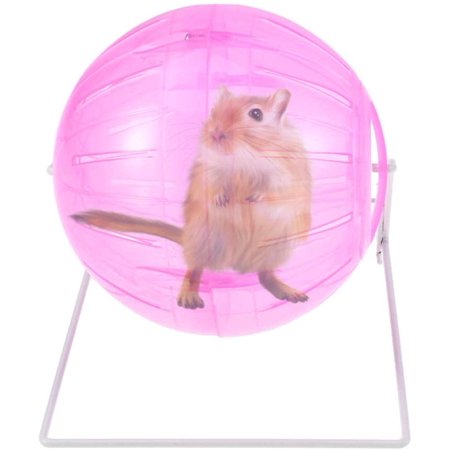 HTCM Multifunctional Hamster Exercise Wheel with Stand, Small Animal ...