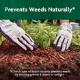 Miracle-Gro Organic All Natural Mulch, OMRI Listed, 1.5 cu. ft ...