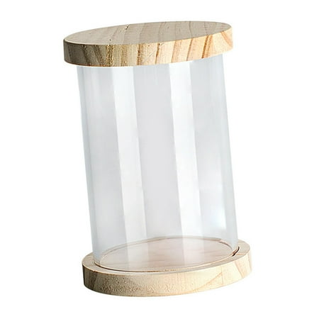 Acrylic Display Case Box Cylinder Organizer for Collectibles 360 ...