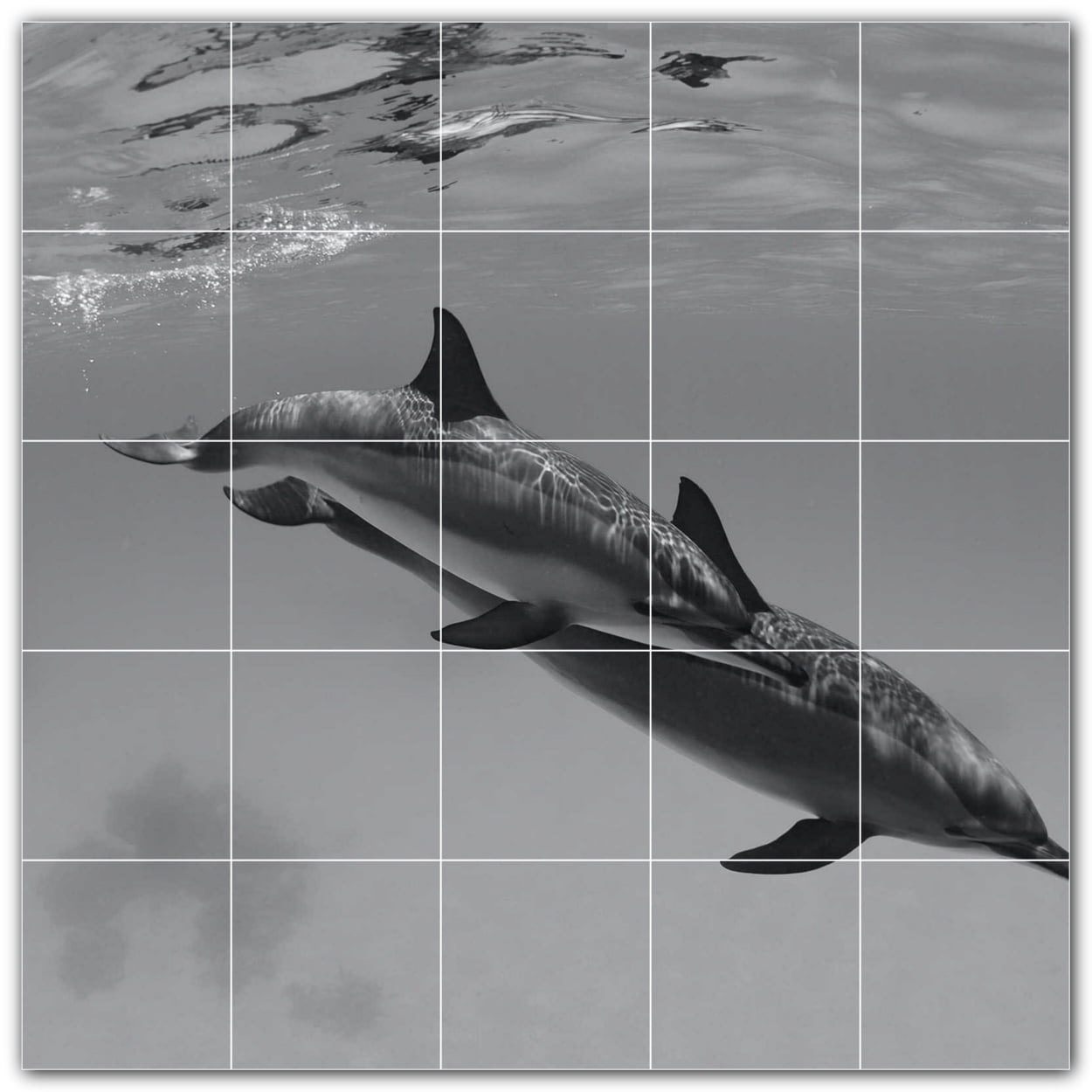 Picture-Tiles.com: Dolphin Ceramic Tile Wall Mural WAL500507-55XL. 60"W ...