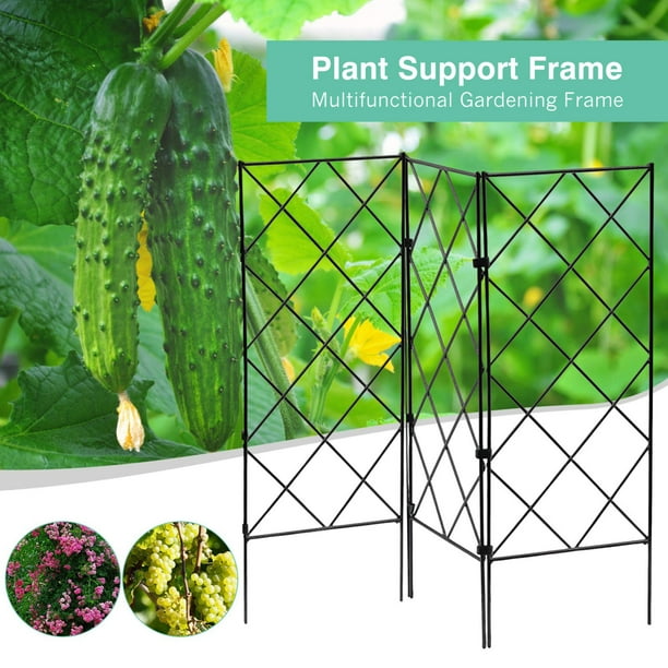 Folding Trellis