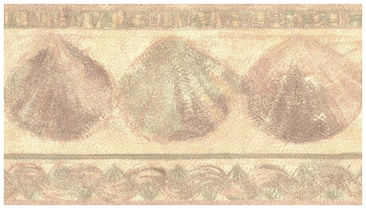 Seashell Wall Border Images