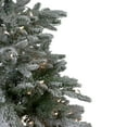 Northlight Real Touch™️ Pre-Lit Flocked Whistler Noble Fir Artificial ...