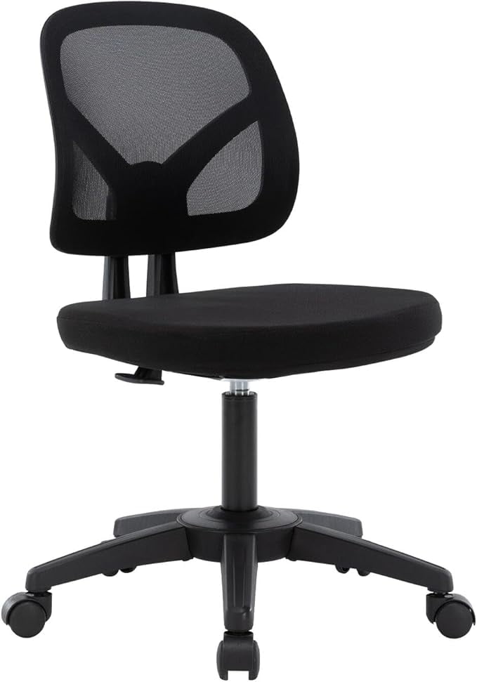 Low-Back Home Office Task Chair, Armless Executive Computer Desk Chair ...
