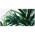 1.5-Inch Thick Canvas Print Wall Art for Living Room, Bedroom, Office ...