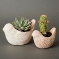 Artisan Variety 7" x 4" x 4.5" Bird White Terracotta Terracotta Bird ...